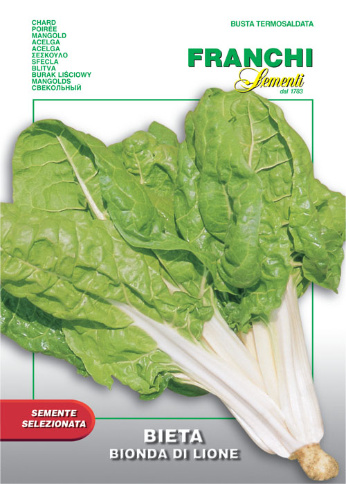 Chard- Bietola Da Coste Bionda Di Lione 2 (14-2) :: Italian Garden Seeds