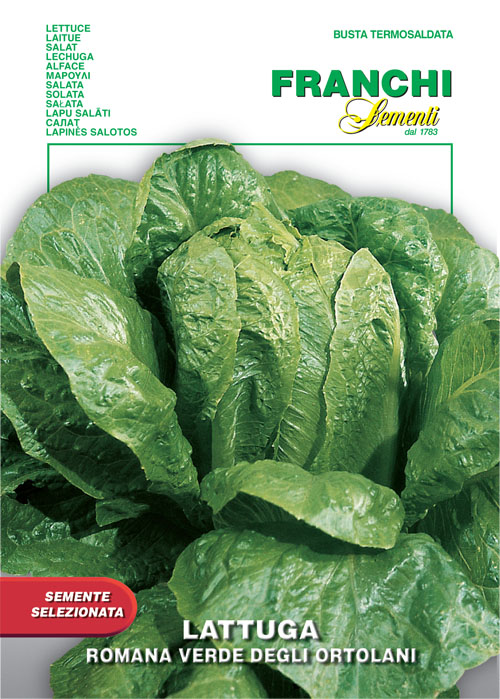 Lattuga - Lettuce Romana Verde degli Ortolani (84-5) :: Italian Garden ...