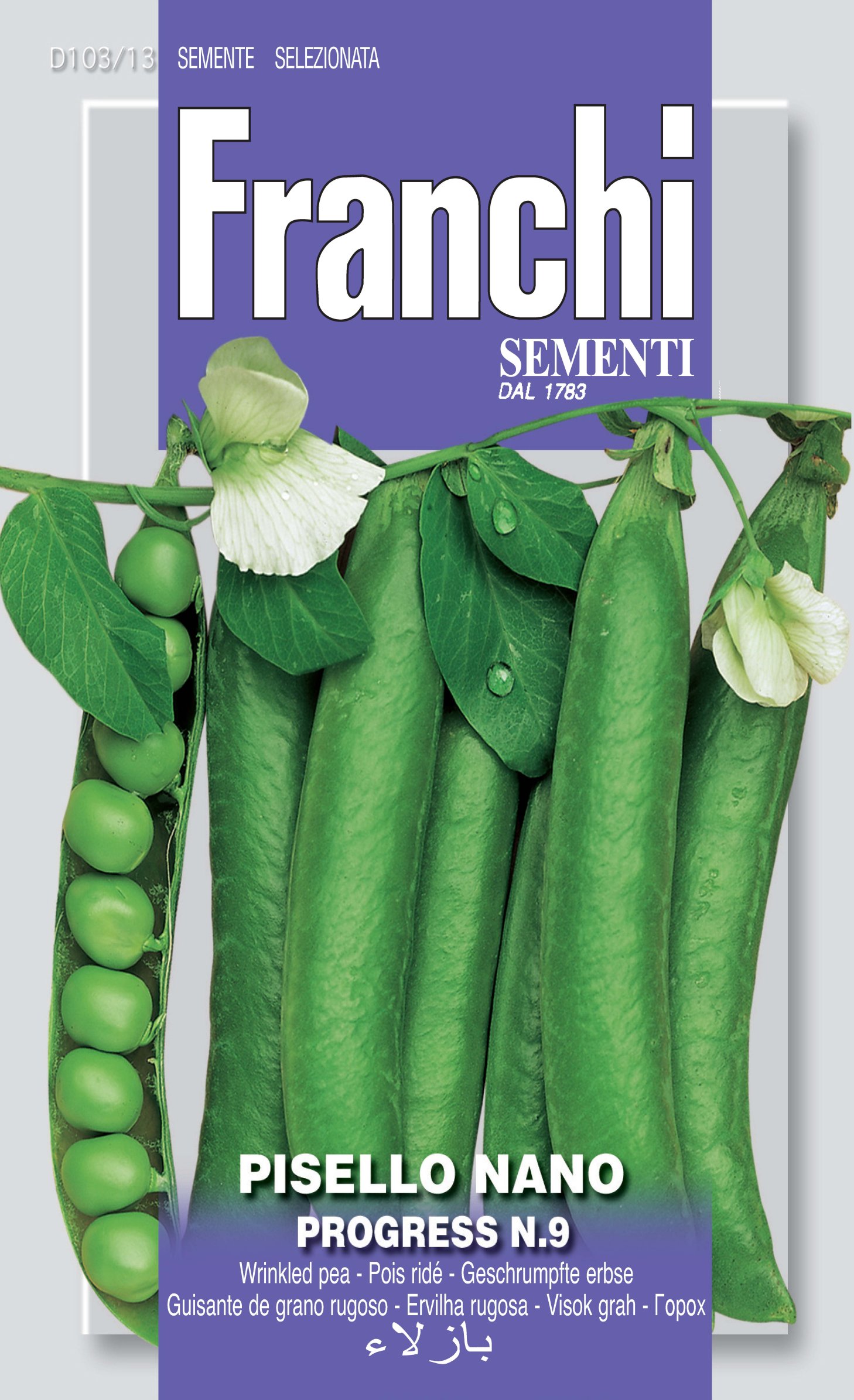 Pea- Pisello Nano Progress N.9 (DBL 103-13) :: Italian Garden Seeds
