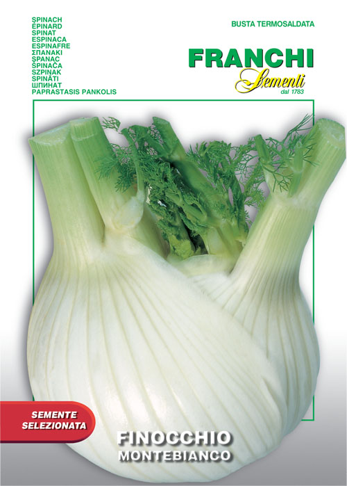 Fennel Finocchio Mantovano (62-6) :: Italian Garden Seeds