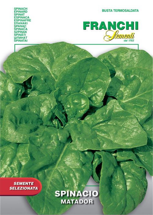 Spinach- Spinacio Matador (127-13) :: Italian Garden Seeds