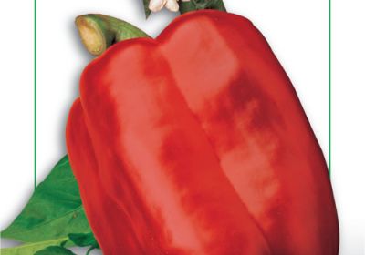 Peppers Sweet & Hot | Italian Garden Seeds Authentic Italian Seeds