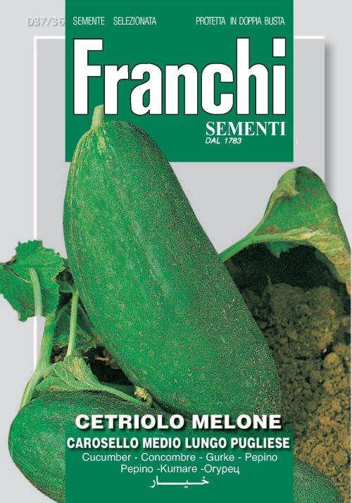 Cucumber-Cetriolo Melone Carosello Medio Lungo Pugliese (37-36 ...